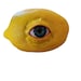 Realistic Life Sized Freaky Fruit All Seeing Lemon by Dead Head Props ...