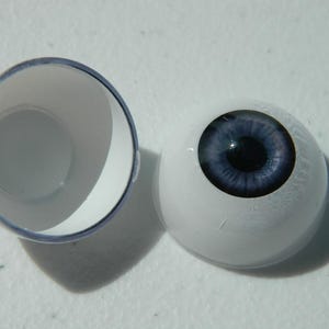 Pair of Life Size Realistic Human Acrylic Half Round Hollow Back Eyes ...