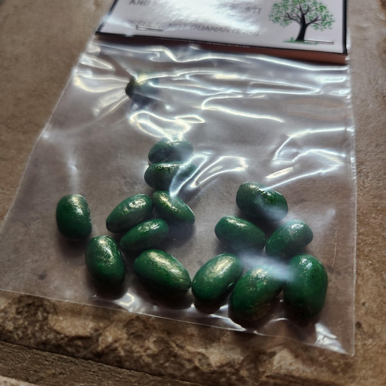 Money Tree Seeds, Gag Gift, Humorous - Etsy