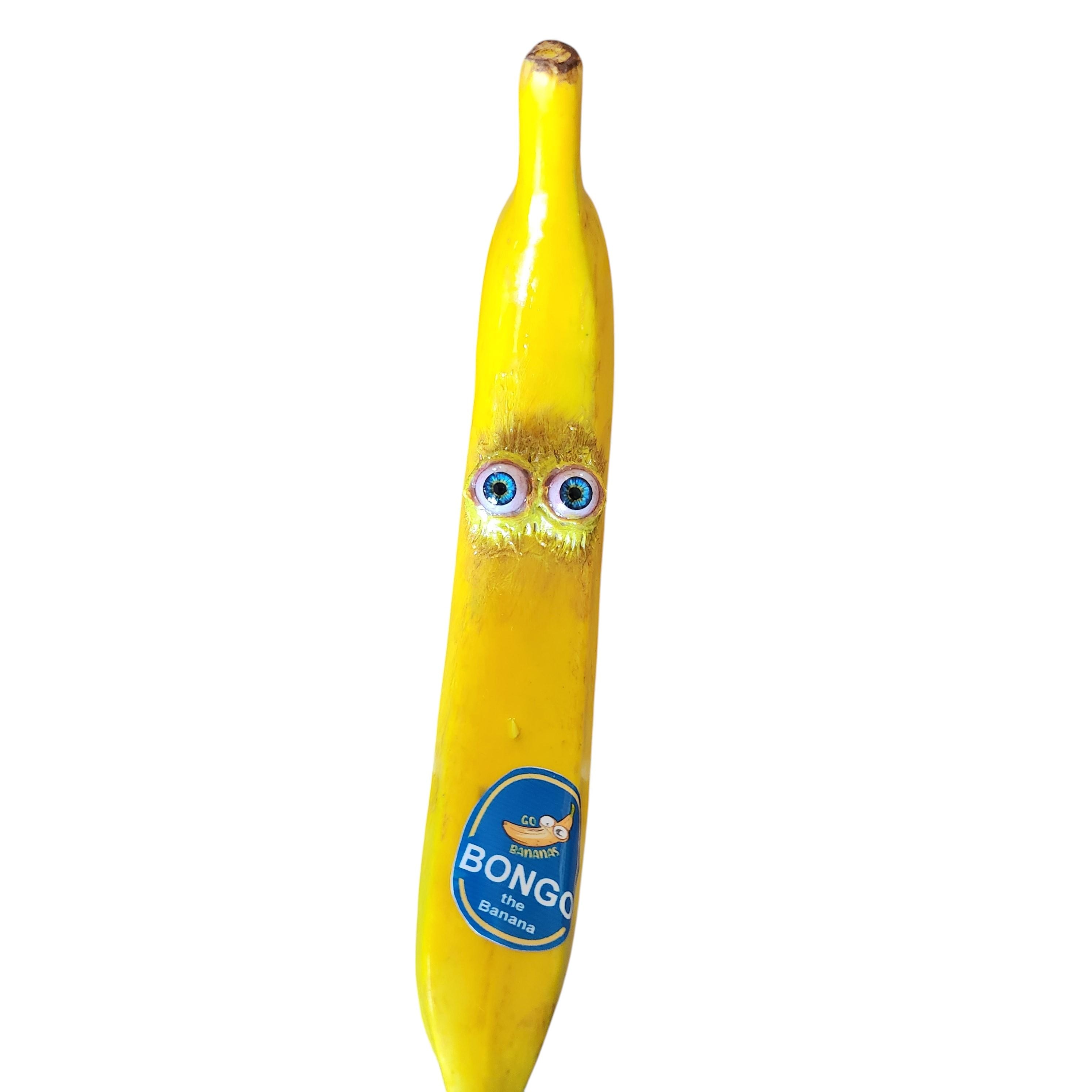 Realistic Life Sized Freaky Fruit BONGO the Banana by Dead Head Props ...