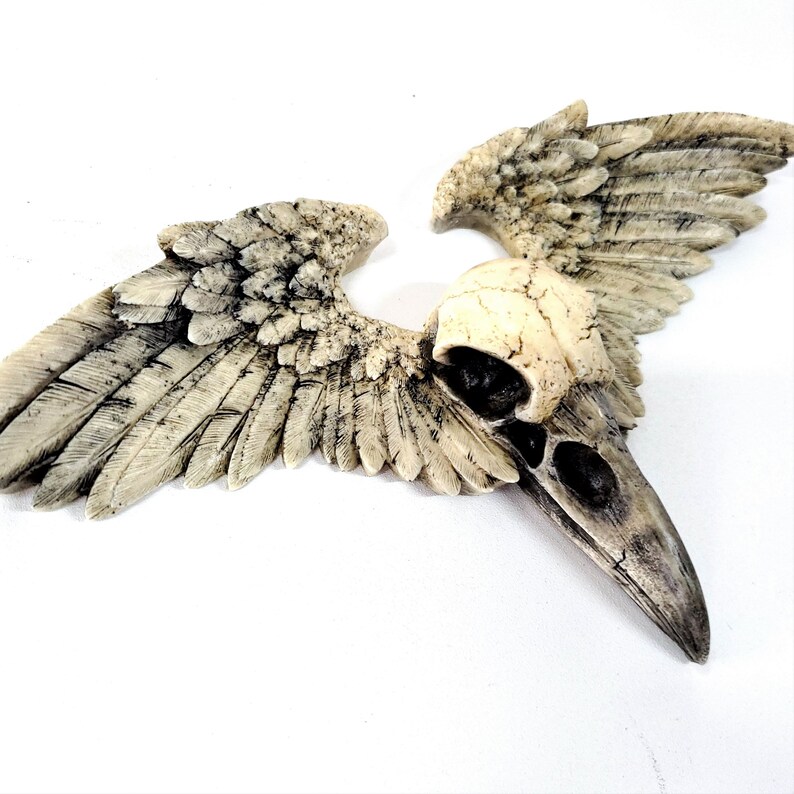 HALLOWEEN PROP - Realistic Resin Gothic Crow Skull With Wings Art - Etsy