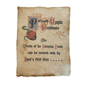 Evil Queen Witches Spell Book Aged Printed Book Pages, Halloween Prop ...