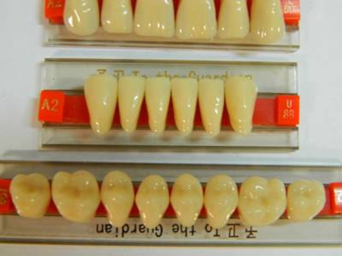 HALLOWEEN PROP Full Set of Dental Quality Human Resin Teeth - Etsy