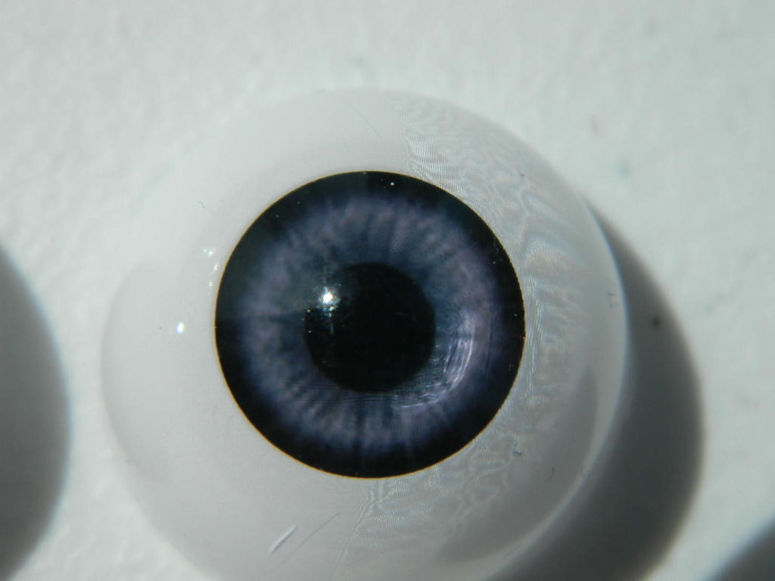 Pair of Life Size Realistic Human Acrylic Half Round Hollow Back Eyes ...