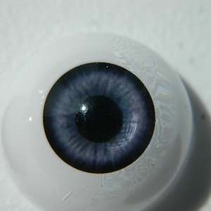 Pair of Life Size Realistic Human Acrylic Half Round Hollow Back Eyes ...
