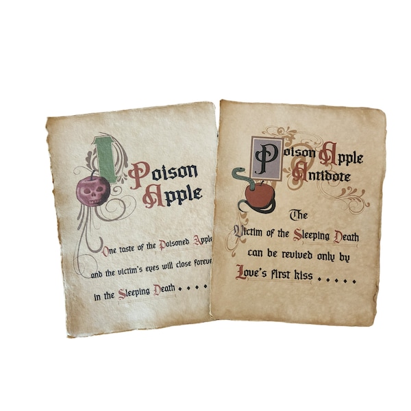 Evil Queen Spell Book - Etsy