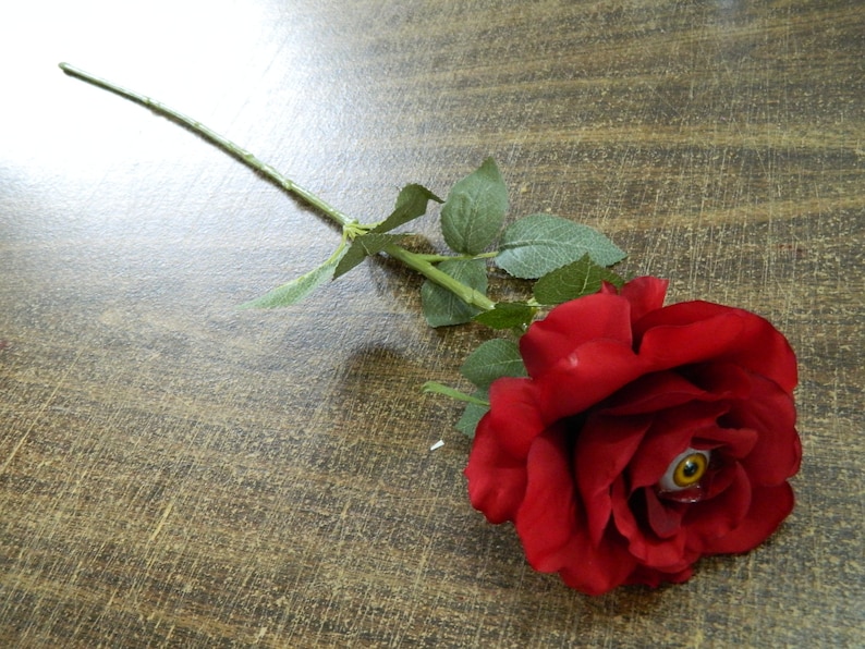 Halloween Prop Freaky Flowers - Silk Flowers With Realistic Acrylic Eye ...