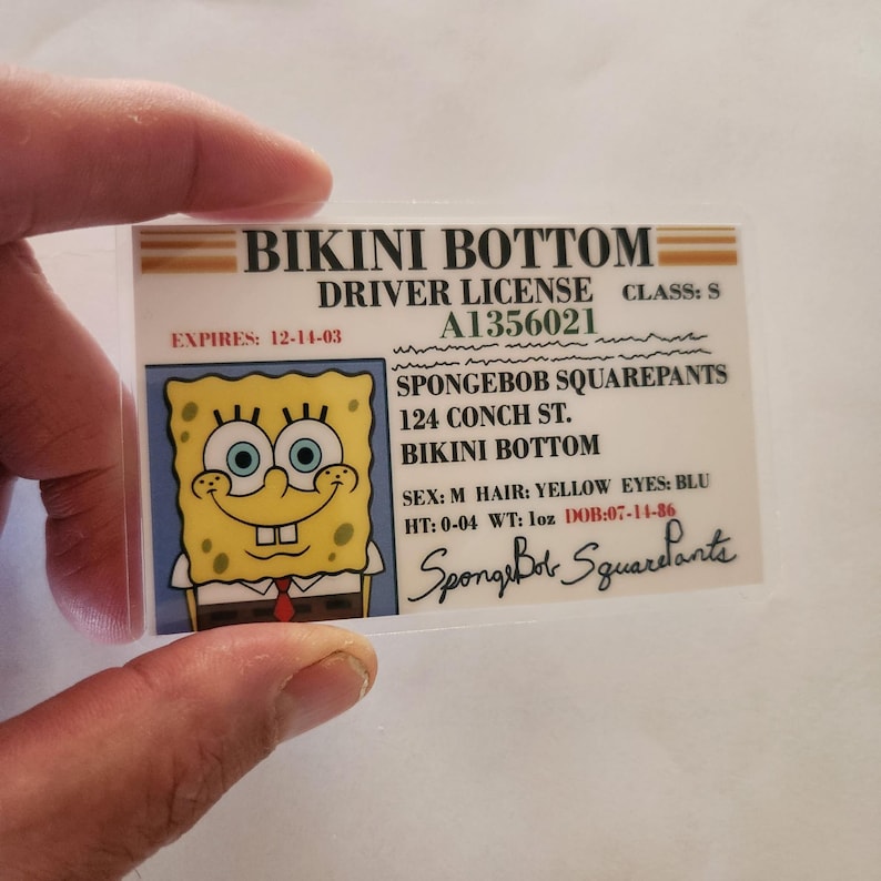 Bikini Bottom Drivers License Sponge B and Patrick 2 Sided Quality ...