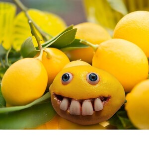 Realistic Life Sized Freaky Fruit "larry the Lemon" by Dead Head Props ...