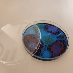 Realistic Virus/bacteria Petri Dish by Dead Head Props, Halloween ...