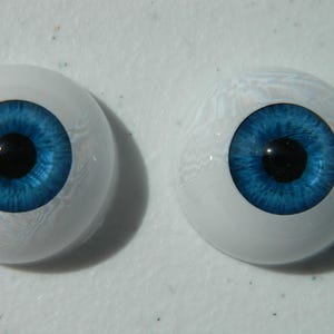 Pair of Life Size Realistic Human Acrylic Half Round Hollow Back Eyes ...