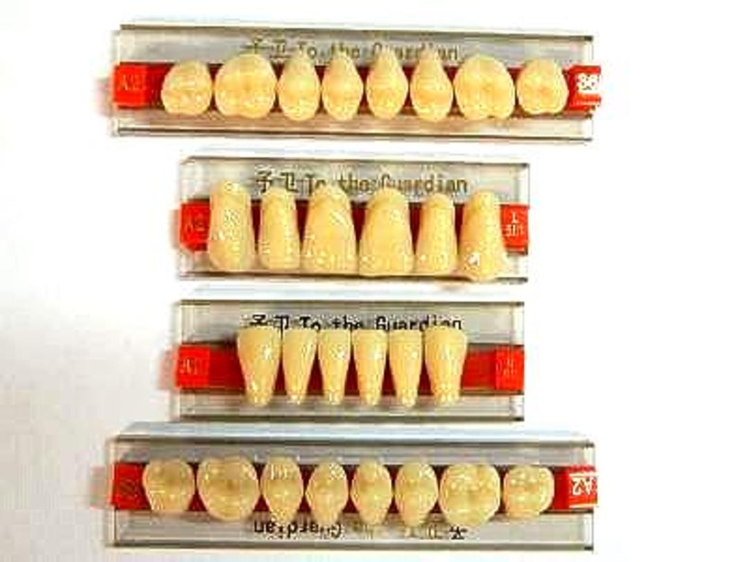 HALLOWEEN PROP - Full Set of Dental Quality Human Resin Teeth for Prop ...
