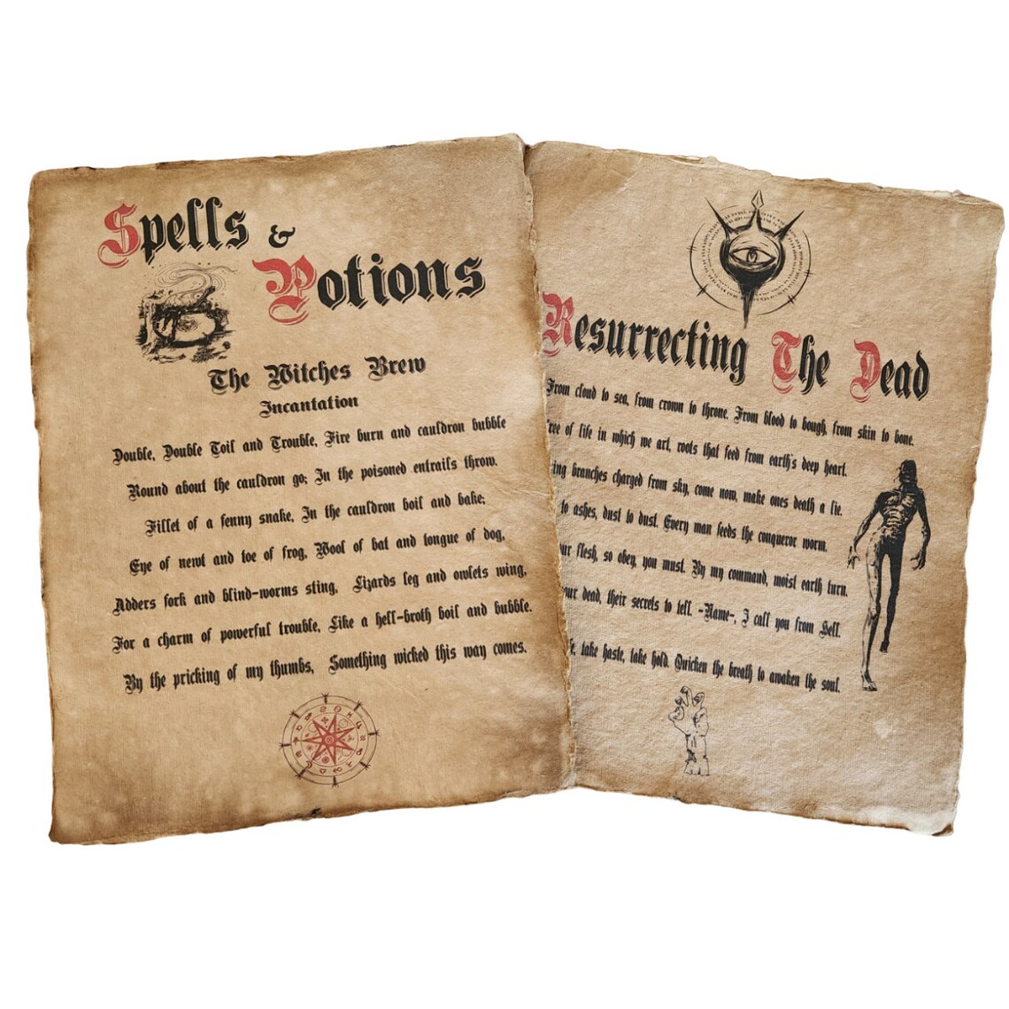 Witches Spell Book Aged Printed Book Pages, Halloween Prop by Dead Head ...