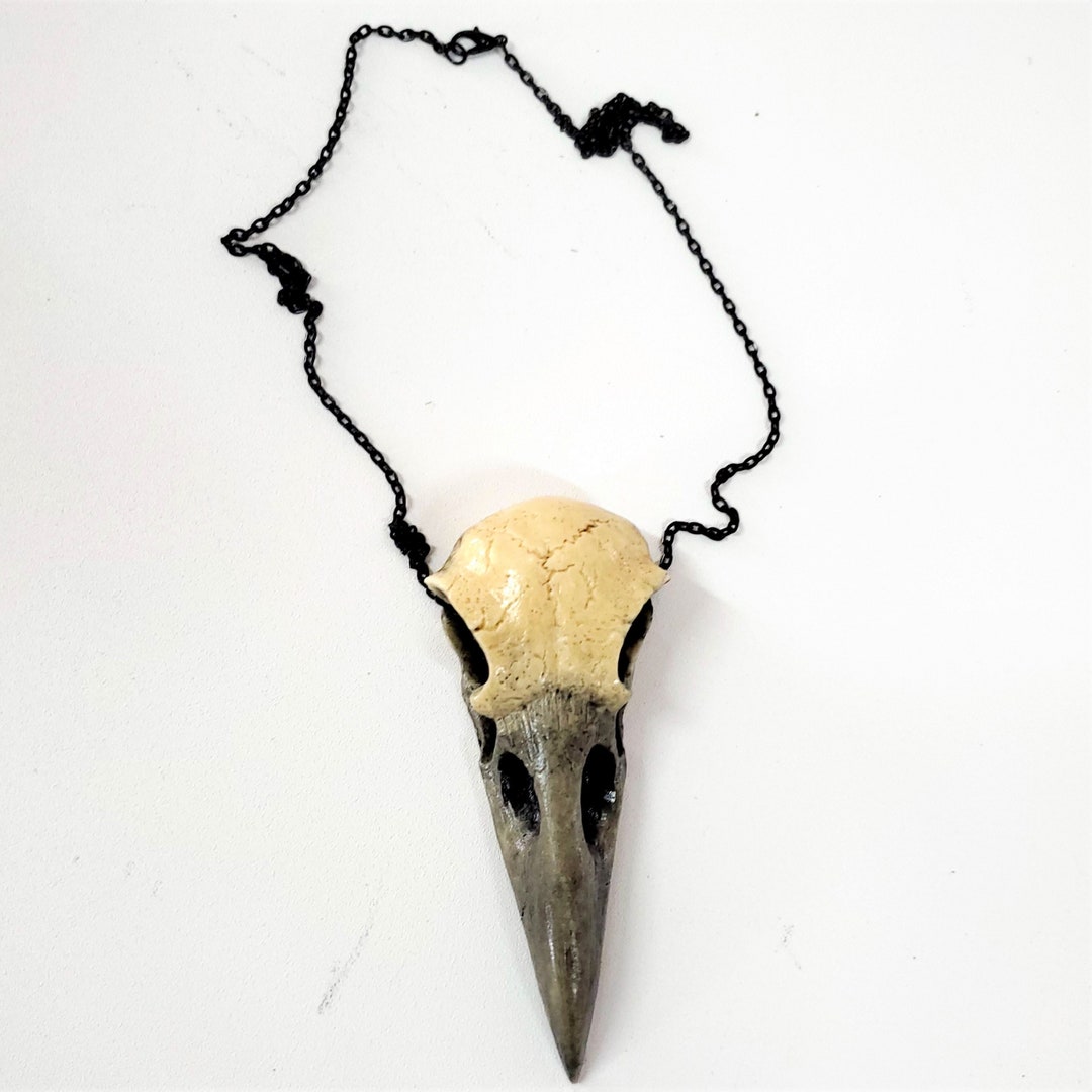 Resin Realistic Crow Skull With 24 Inch Loop Chain Necklace - Etsy