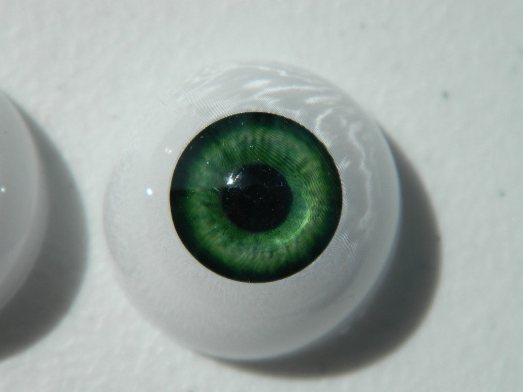 Pair of Life Size Realistic Human Acrylic Half Round Hollow Back Eyes ...