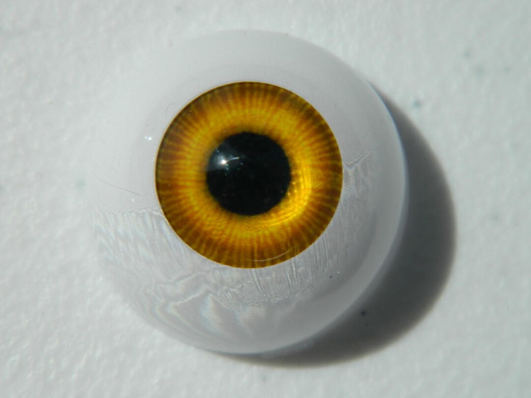 Pair of Life Size Realistic Human Acrylic Half Round Hollow Back Eyes ...