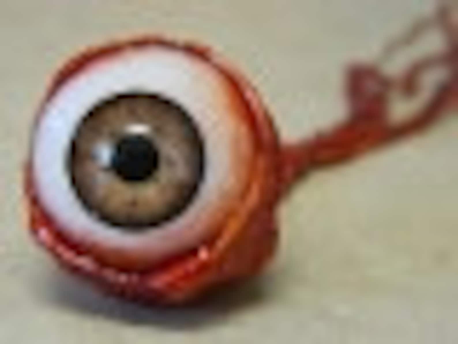 Halloween Prop Realistic Human Ripped Out Eyeball by Dead - Etsy