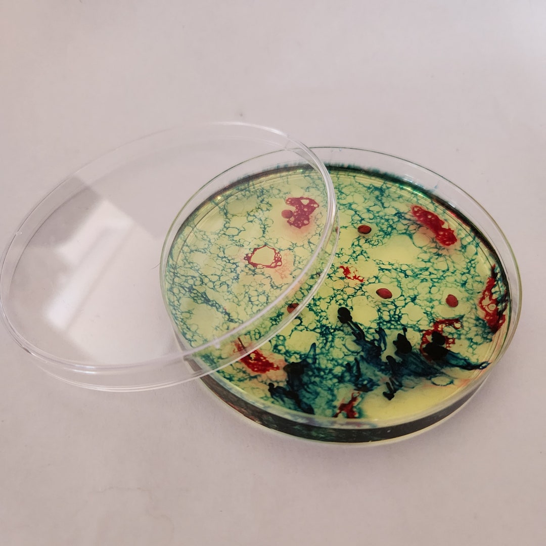 Realistic Virus/bacteria Petri Dish by Dead Head Props, Halloween ...