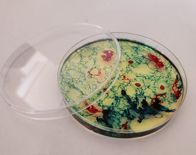 Realistic Virus/bacteria Petri Dish by Dead Head Props, Halloween ...