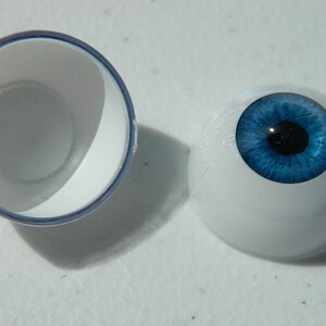 Pair of Life Size Realistic Human Acrylic Half Round Hollow Back Eyes ...