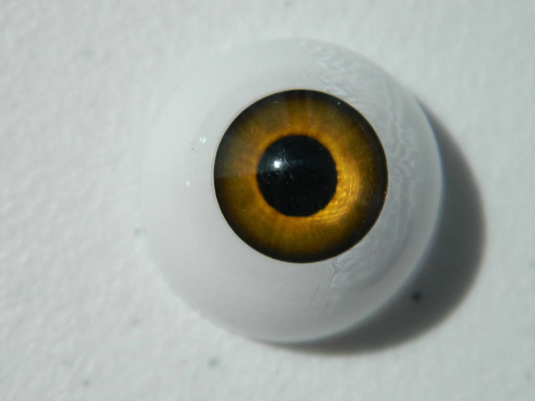 Pair of Life Size Realistic Human Acrylic Half Round Hollow Back Eyes ...