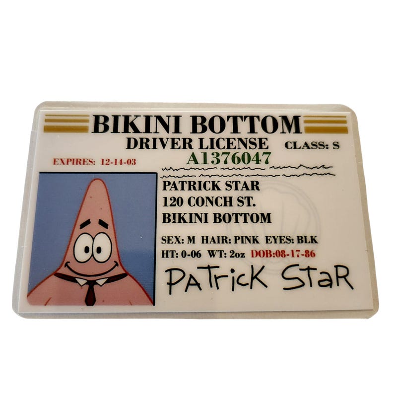 Bikini Bottom Drivers License Sponge B and Patrick 2 Sided Quality ...