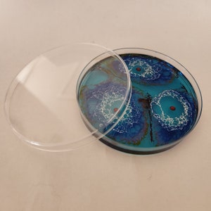 Realistic Virus/bacteria Petri Dish by Dead Head Props, Halloween ...
