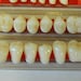 Halloween Horror Prop Life Size Realistic Resin Full Mouth Set of Teeth ...
