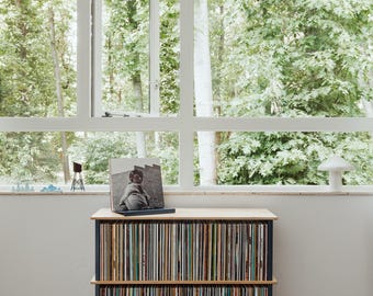 Modular, Modular Vinyl, Modular Vinyl Storage, Vinyl Storage Unit ...