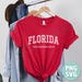 Florida the Sunshine State PNG + SVG, US States Florida Png, Arched ...