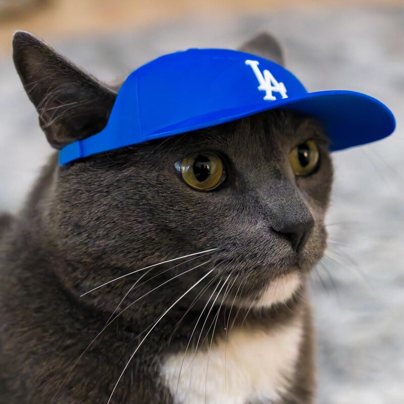 3d Printed Cat Caps - Etsy