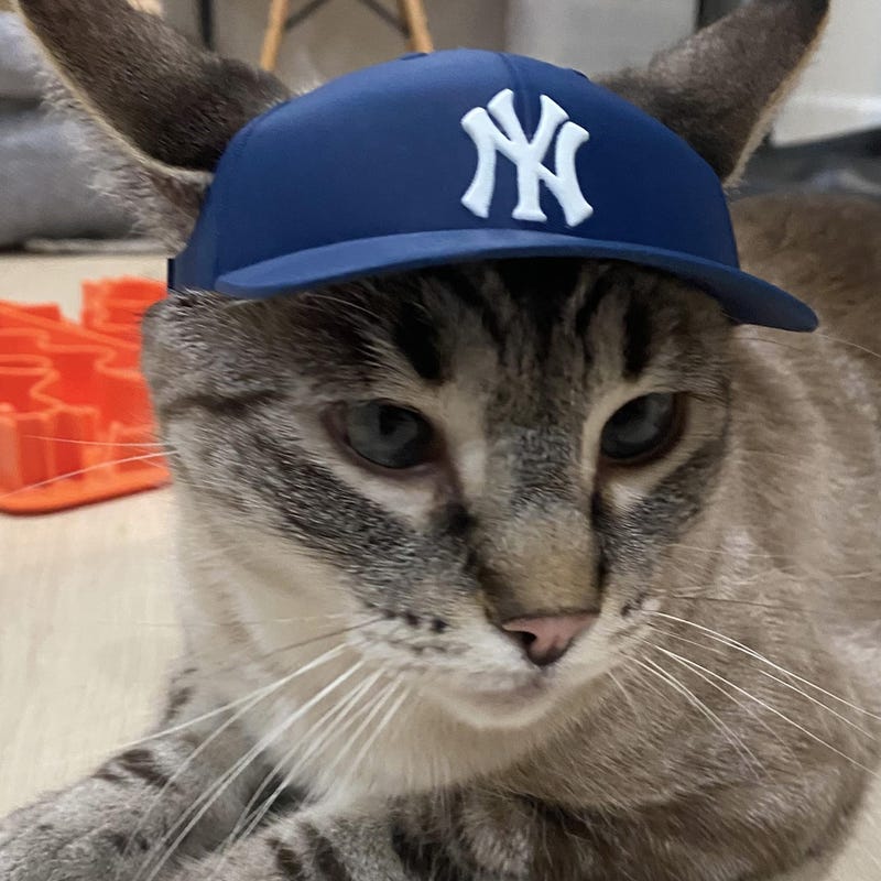 Yankees Hat - Etsy