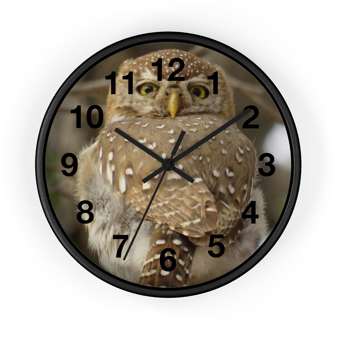 Wall Clock Charming Owl Wall - Nature Decor for Wildlife Lovers, Home ...