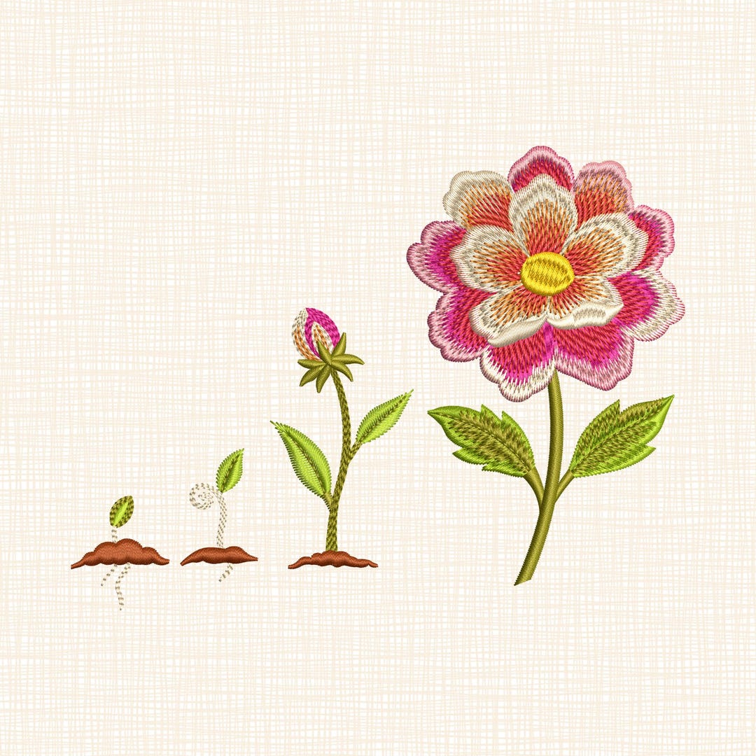 Flower Life Cycle Embroidery Design Growth & Bloom Floral Machine ...