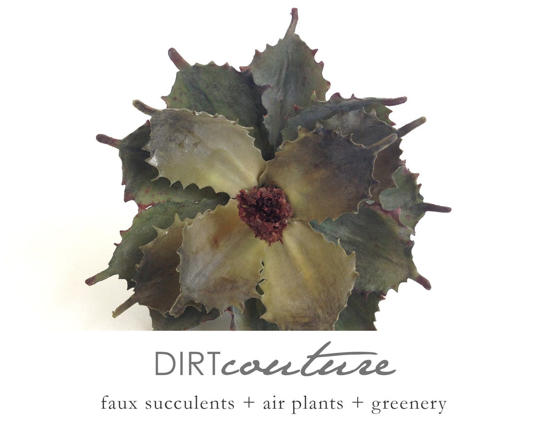Gray Artificial Agave Succulent With Burgundy Center - Etsy