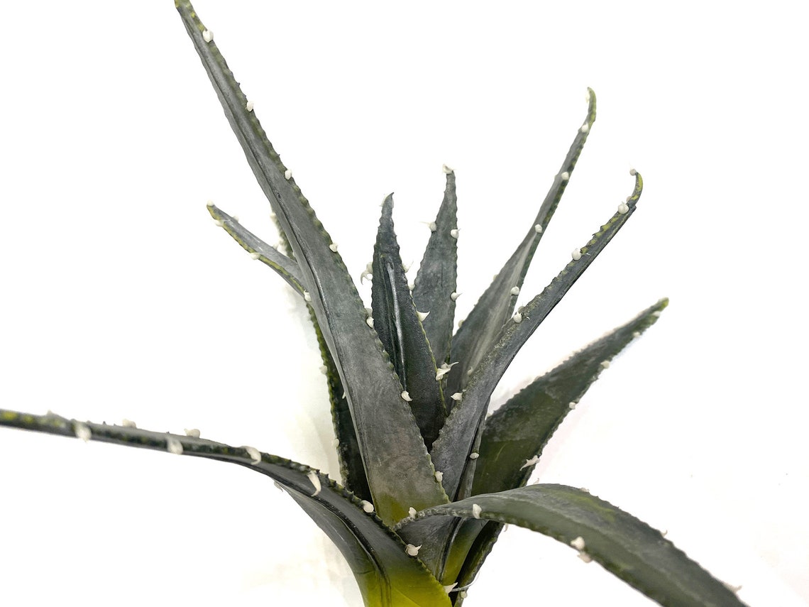 Gray aloe faux aloe Starfish aloe starfish succulent spiky | Etsy