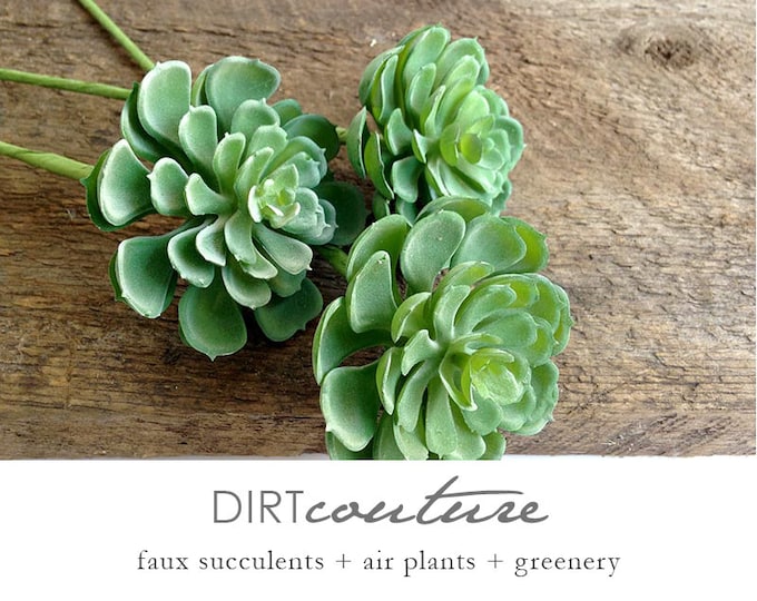 Faux Hens and Chicks Succulent Pick, Artificial Plant - Etsy