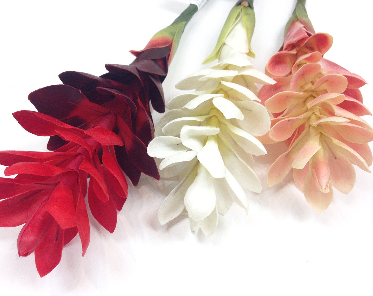 Faux Ginger 3 Colors Ginger Flower Tropical Decor Tropical | Etsy