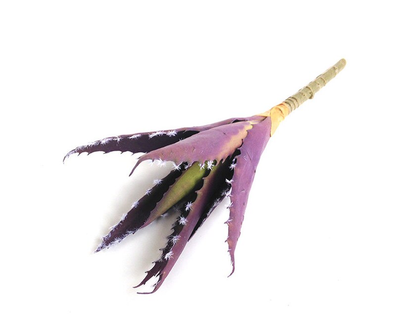 Purple Aloe Faux Aloe Starfish Aloe Starfish Succulent - Etsy