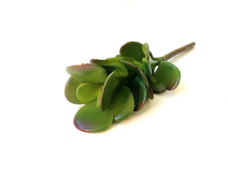 Artificial succulents. Jade plant faux jade plant faux | Etsy