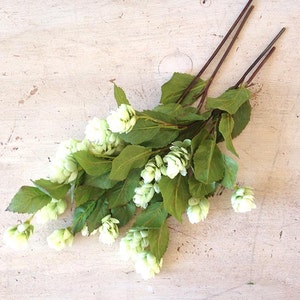 Hops, Silk Flowers, Beer Hops, Artificial Plant, Artificial Flower ...