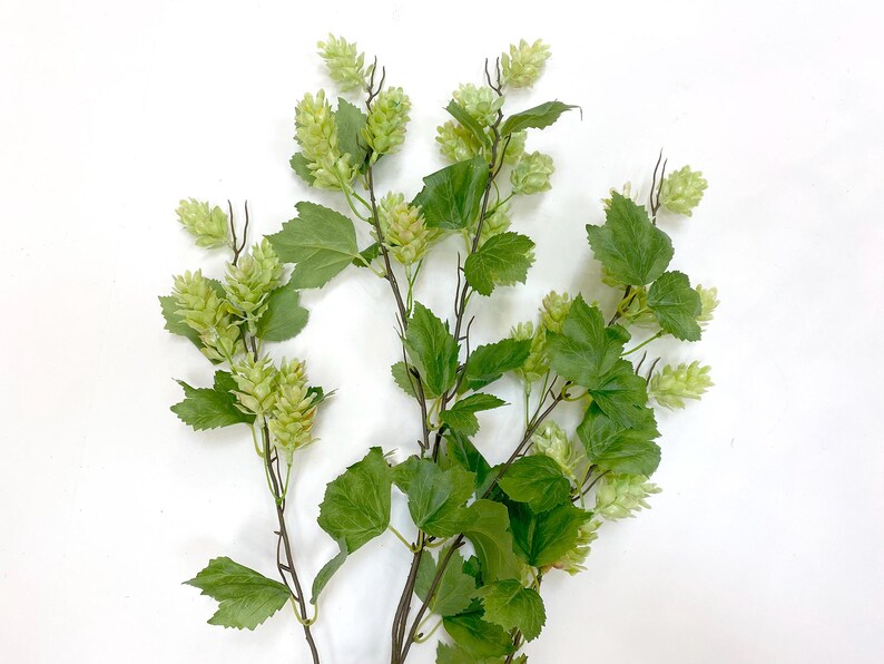 Faux Hops, Stem, Beer Hops, Artificial Flower - Etsy