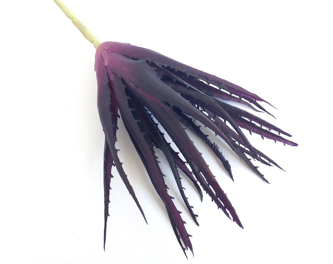 Purple Aloe Faux Aloe Starfish Aloe Starfish Succulent - Etsy
