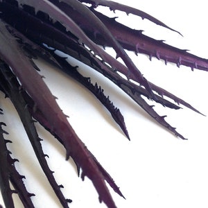 Purple Aloe, Faux Aloe, Starfish Aloe, Starfish Succulent, Purple ...