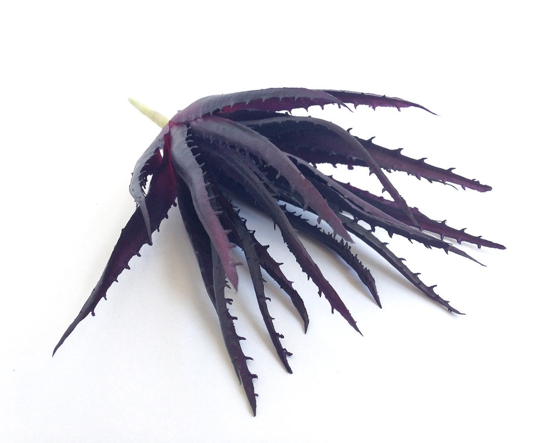Purple Aloe Faux Aloe Starfish Aloe Starfish Succulent - Etsy