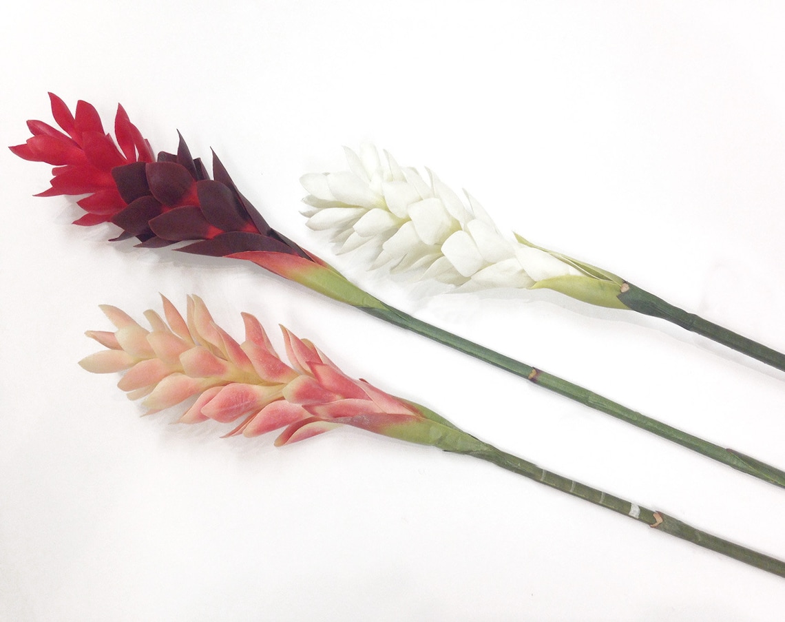 Faux Ginger 3 Colors Ginger Flower Tropical Decor Tropical | Etsy