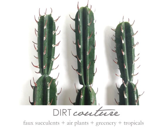 3 Faux Cactus set Peruvian cactus paddle Beavertail | Etsy
