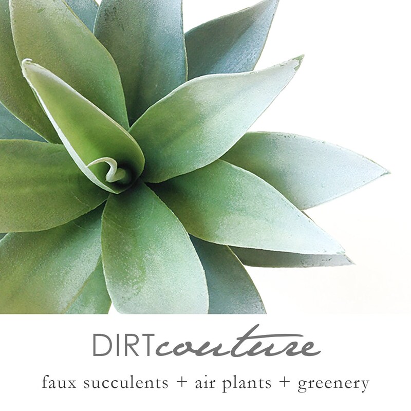 Agave Plant - Etsy