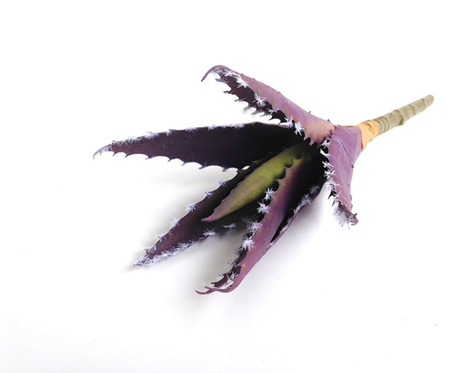 Purple Aloe Faux Aloe Starfish Aloe Starfish Succulent - Etsy