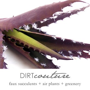 Purple Aloe, Faux Aloe, Starfish Aloe, Starfish Succulent, Purple ...